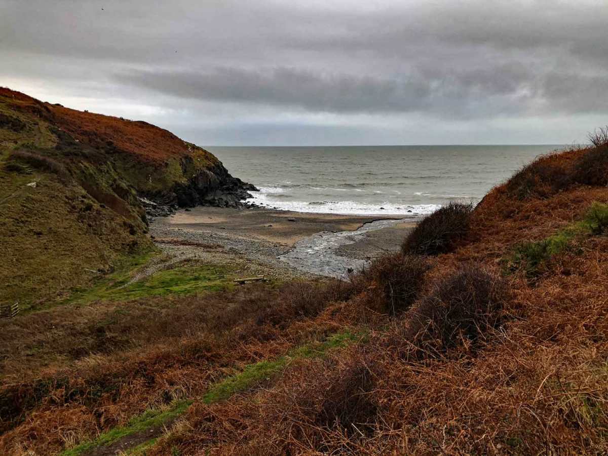 New Quay | Where Angells Tread!